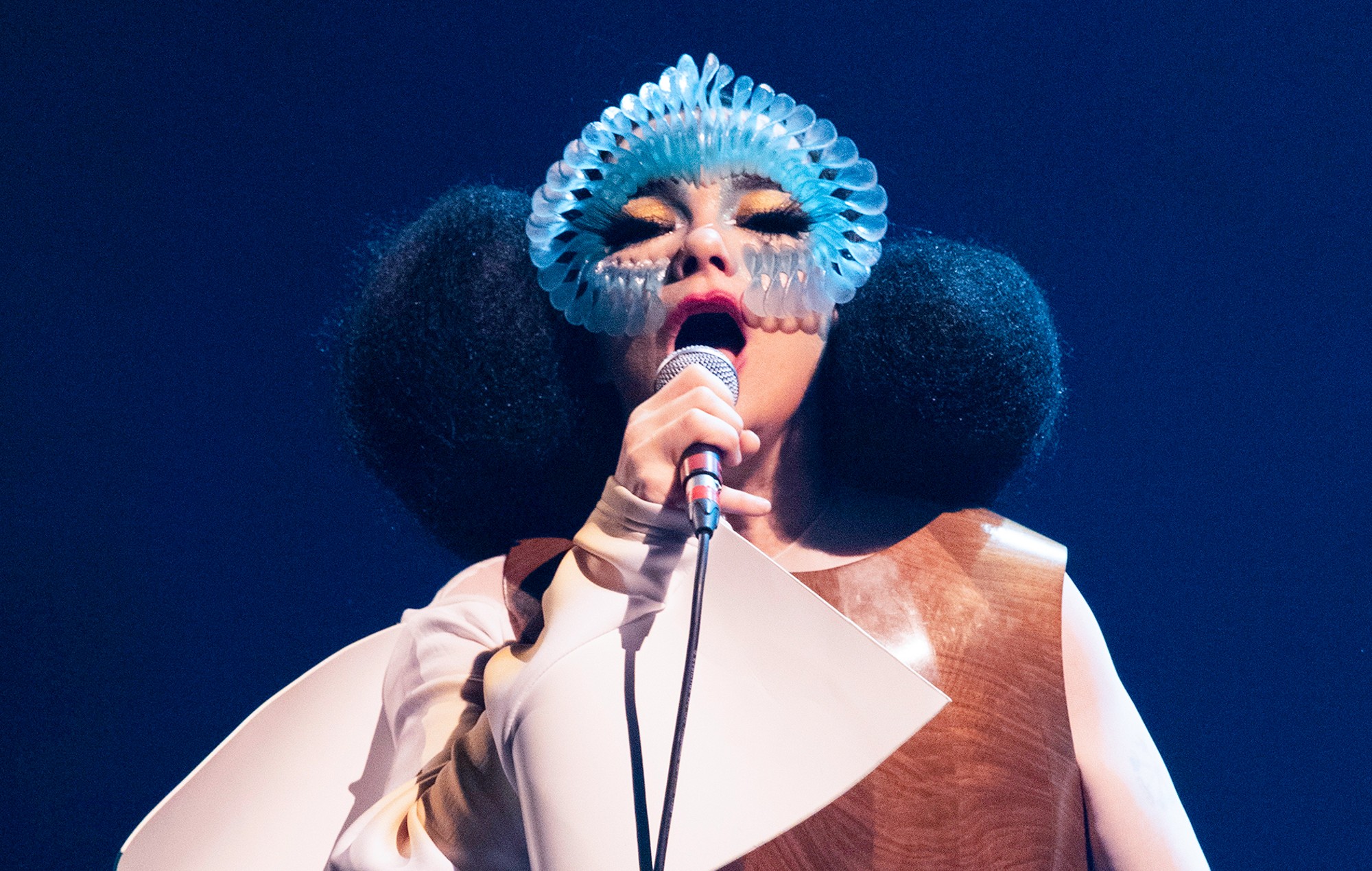 Bjork Reimagines Touring to Embrace Life Balance | TopHit - Highway To ...