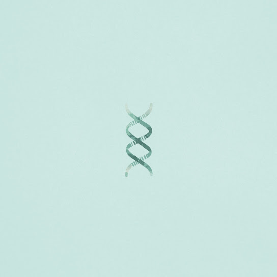 DNA – Boy Loco | TopHit - Highway To Airplay