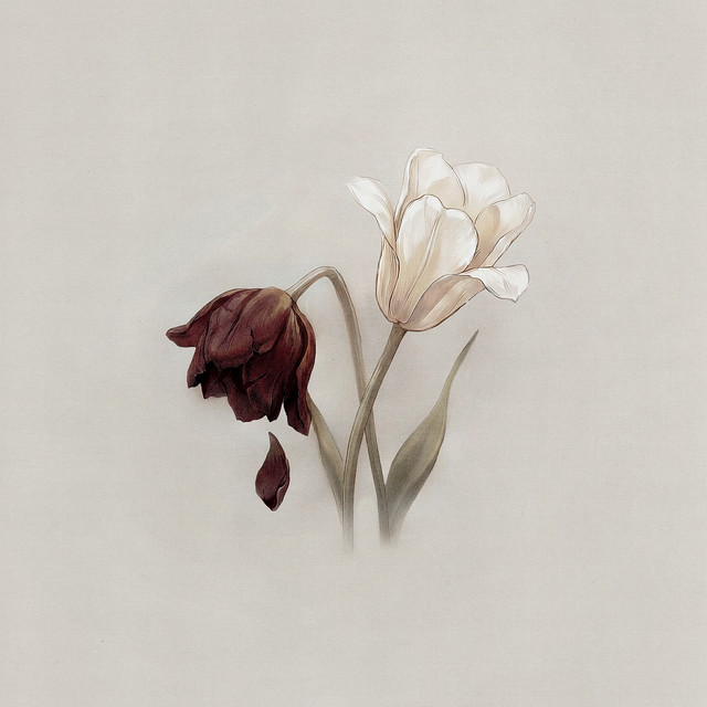 Damn Spring – Tri Dnya Dozhdya | TopHit - Highway To Airplay